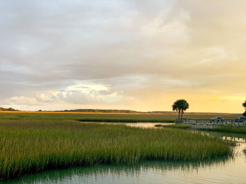 The Crucial Marshlands of South Carolina. - bluewaveadventures.com